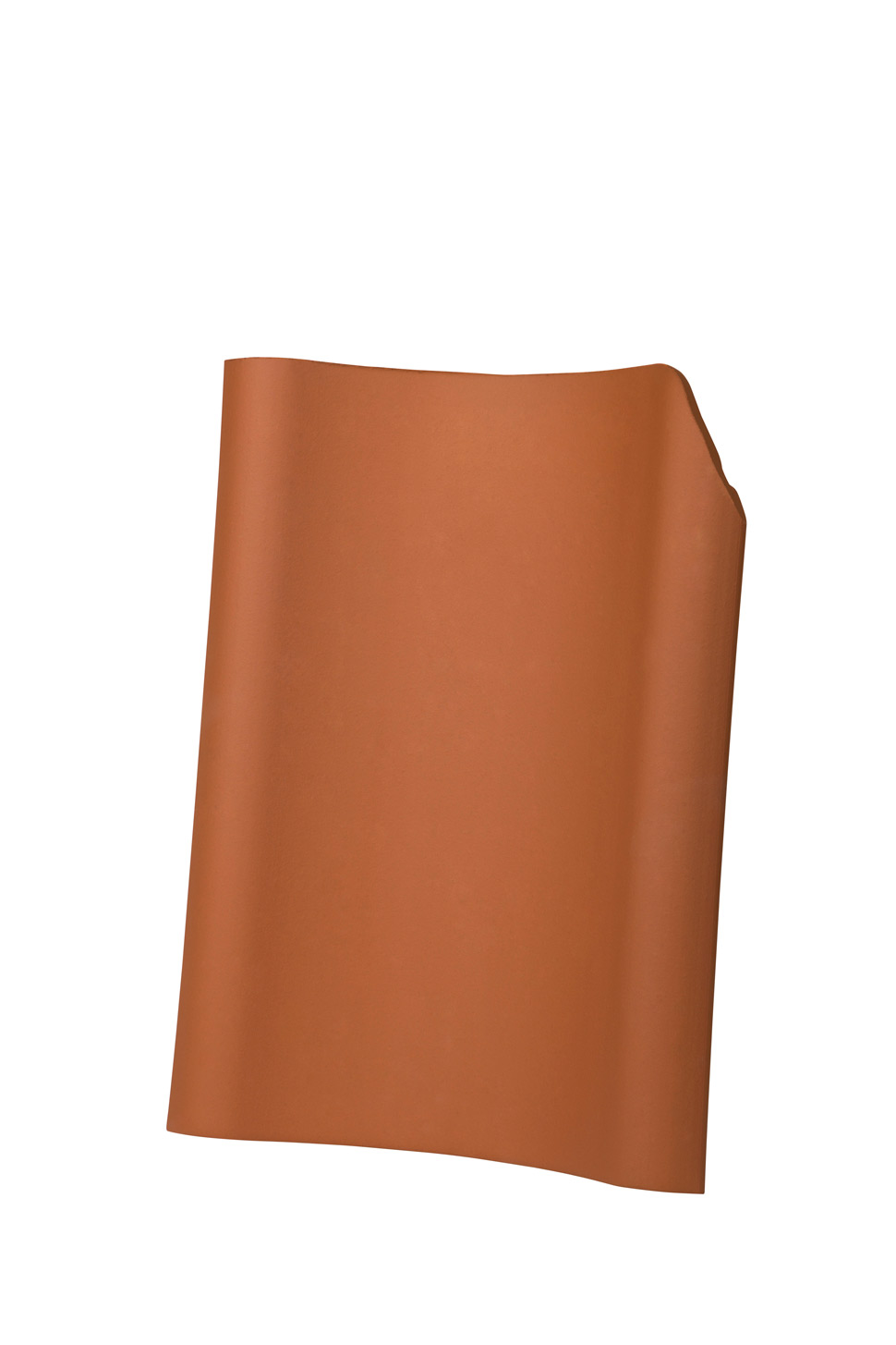 Dobbeltvinget, RT806